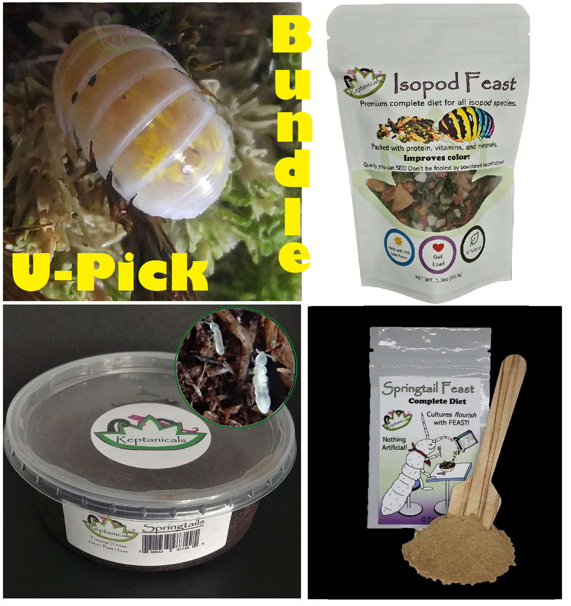 Japanese Magic Potion Isopods (A. vulgare): U-Pick Bundle – Reptanicals