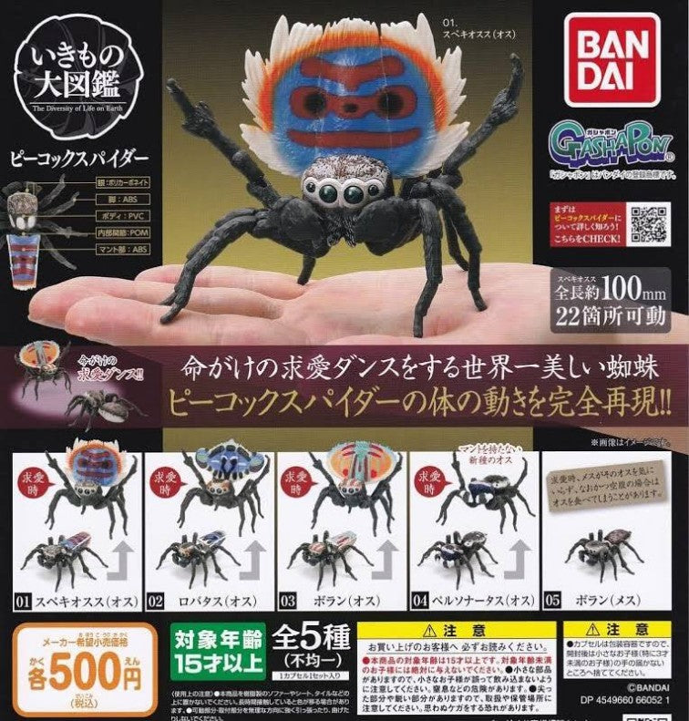 Maratus volans (male) : Peacock Spider Figure (by Bandai) – Reptanicals