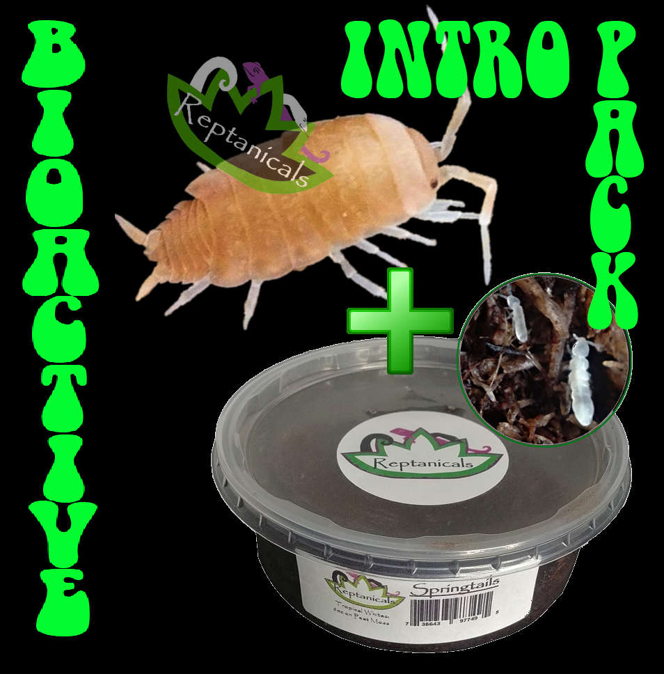 Bio-Active Intro Pack – Reptanicals